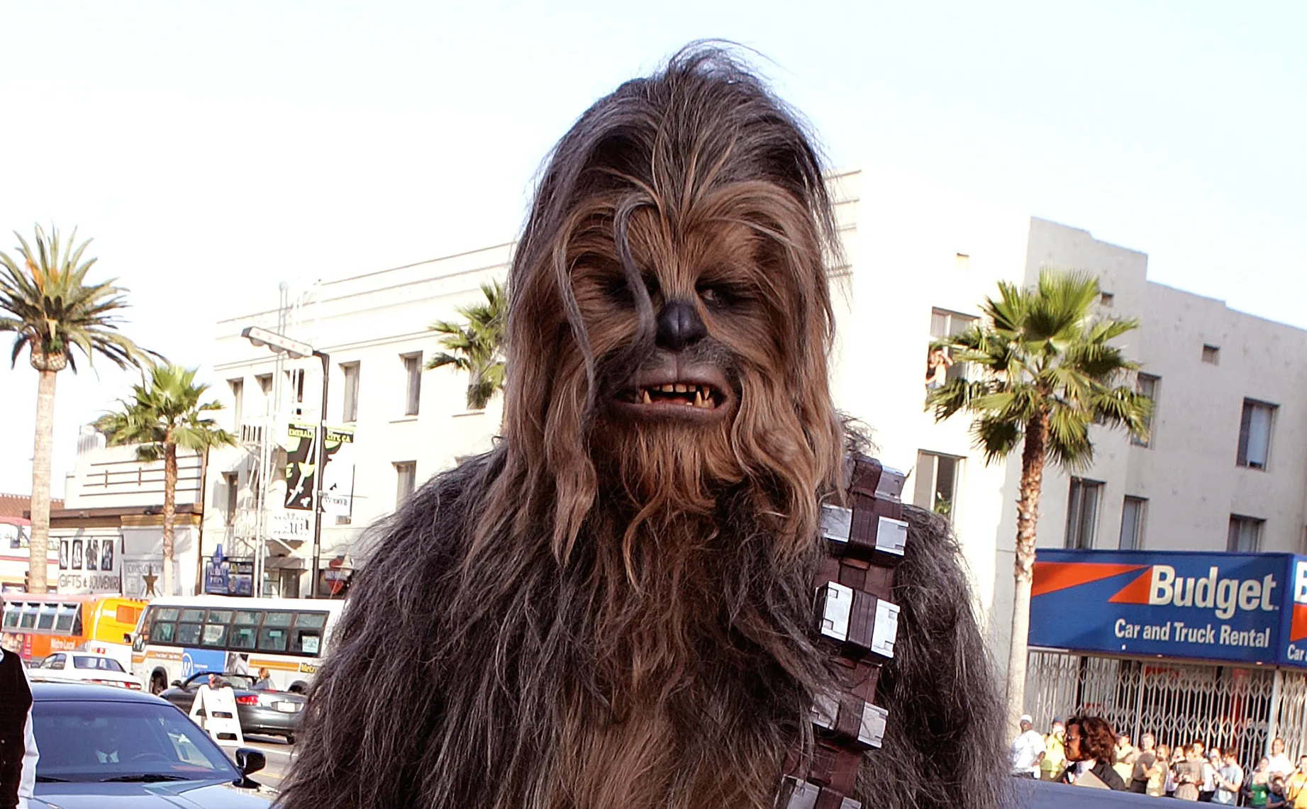 This "Princess Chewbacca" Birthday Cake For A 3-Year-Old Girl Is The ...