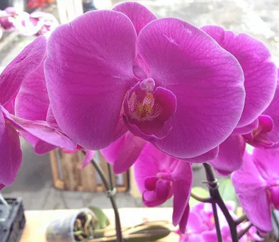 7 Incredible Facts About Your Vagina That Prove Just How Amazing It