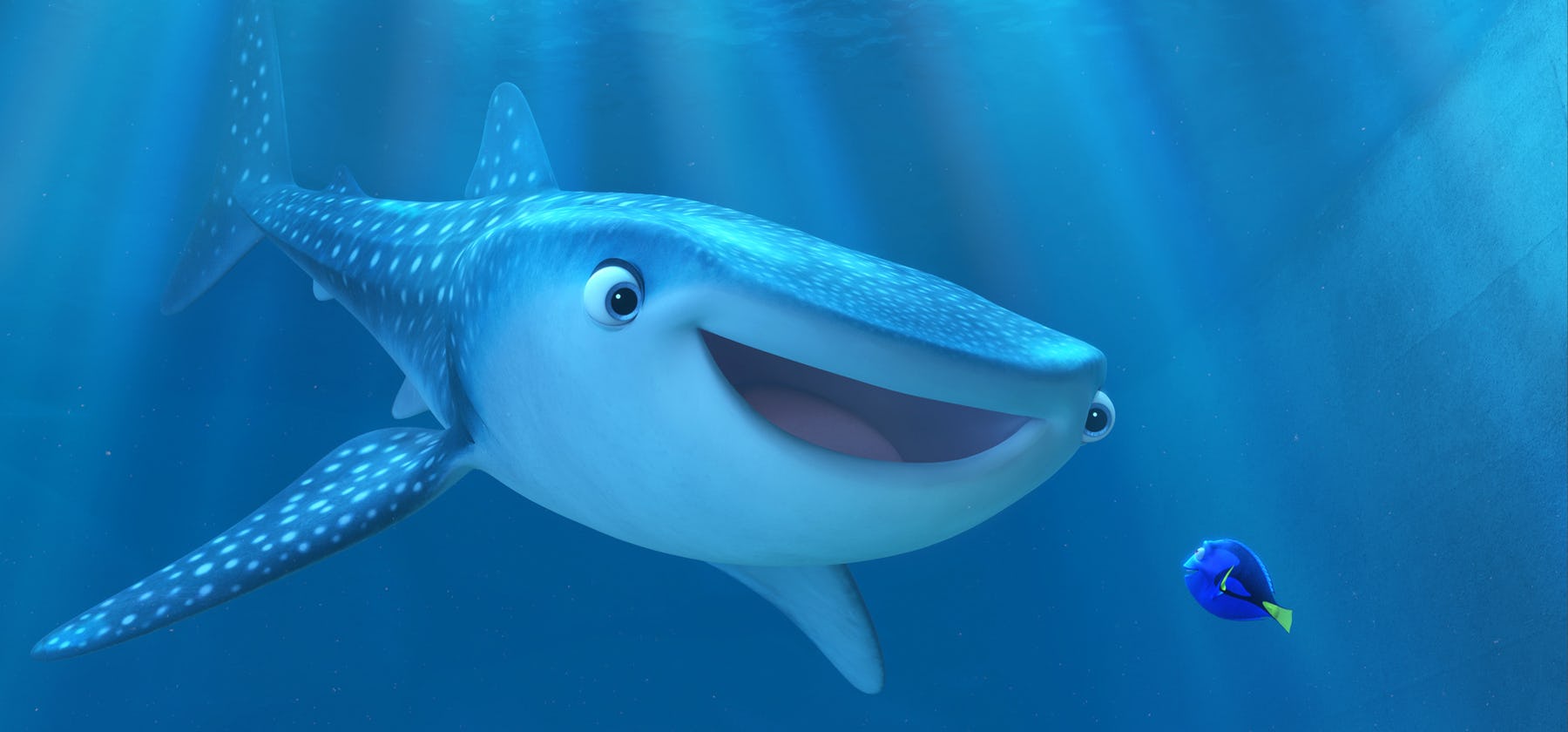 What Is A Whale Shark? The 'Finding Dory' Character Is The Largest Fish ...