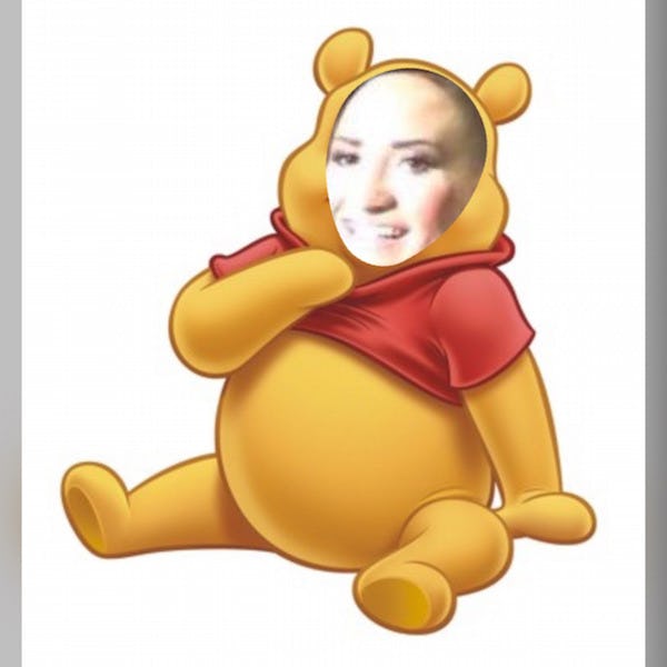 The Internet Made A Crazy Story About Demi Lovato's 'Twin' Named Poot