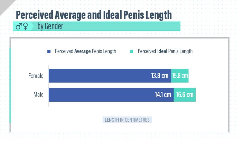 These Are The Expectations For Penis Size, According To Different Places