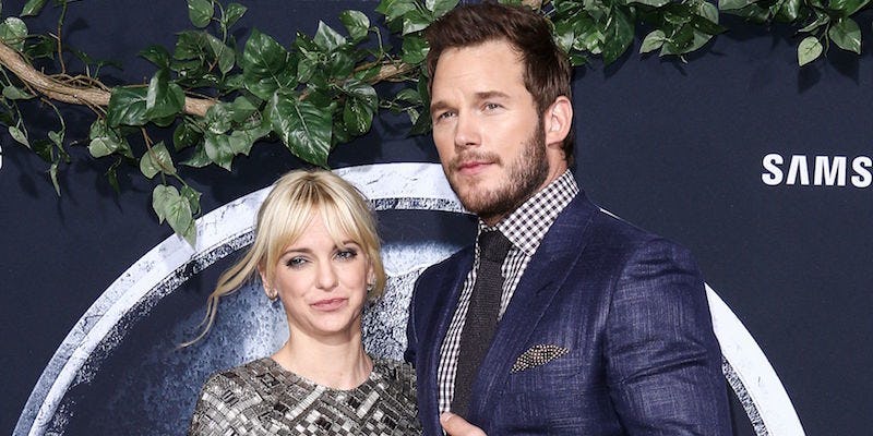 Chris Pratt And Anna Faris's Dog Was Found Homeless