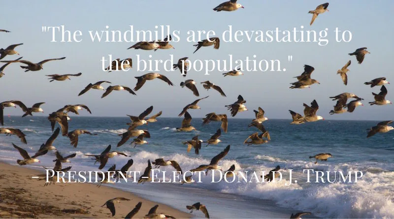 Donald Trump's New York Times Quotes As Inspiring Posters