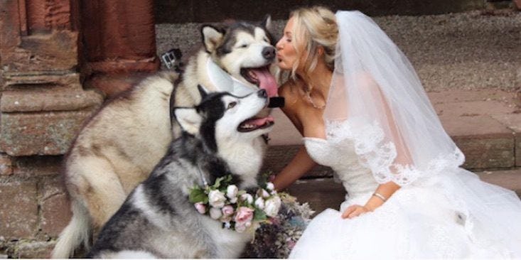Emma-Leigh & Shane Matthews' Dogs Were The Maid Of Honor & Best Man At ...