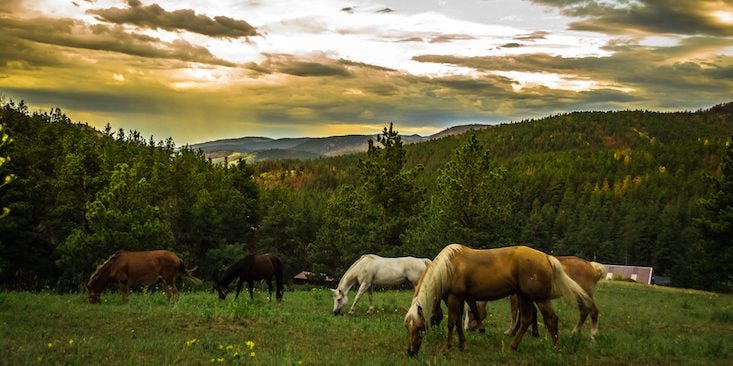 Best Dude Ranches To Visit In The Fall When You're In Need Of An Escape