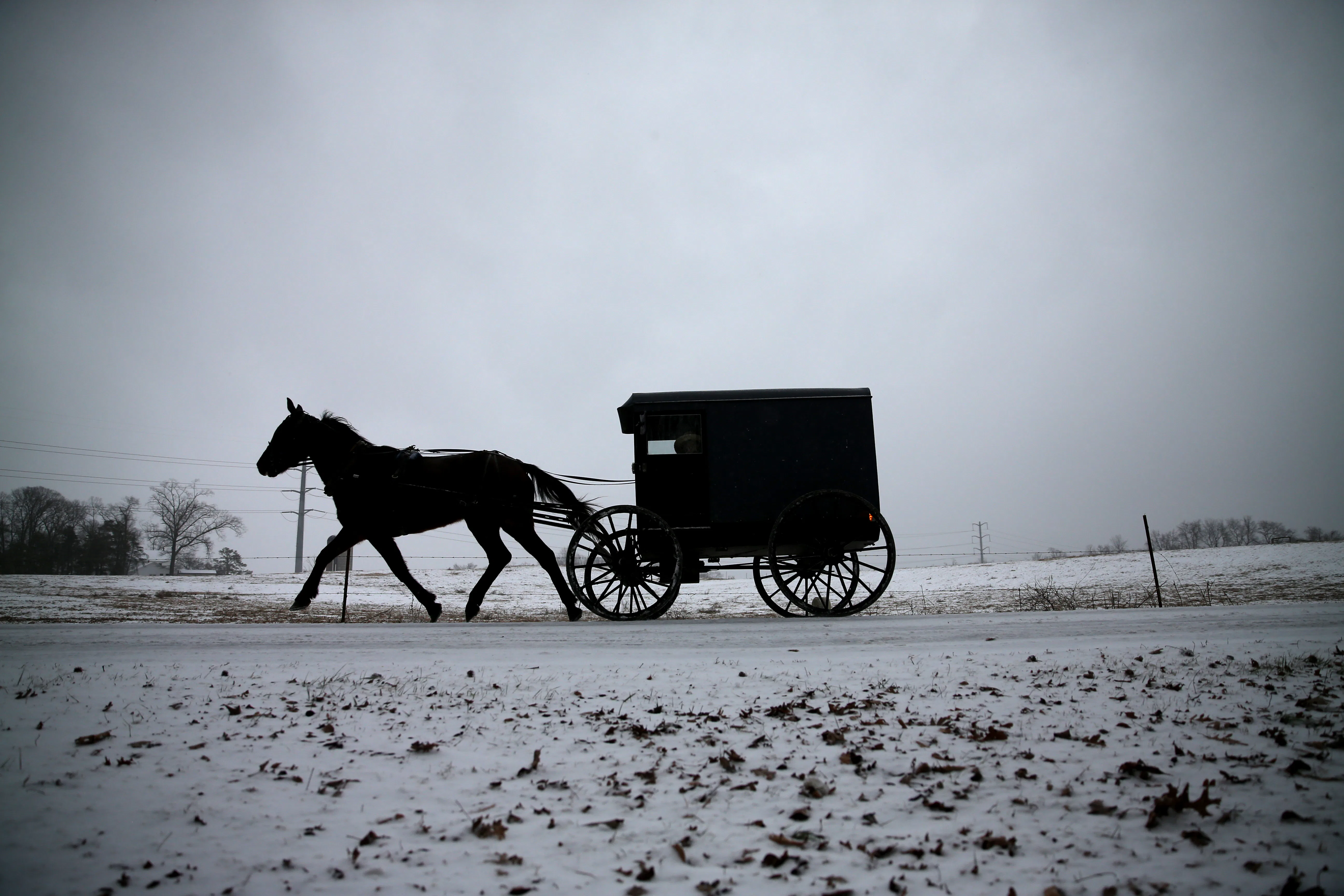 Where Is Holmes County? 'Amish Witches' Features This Location In The ...
