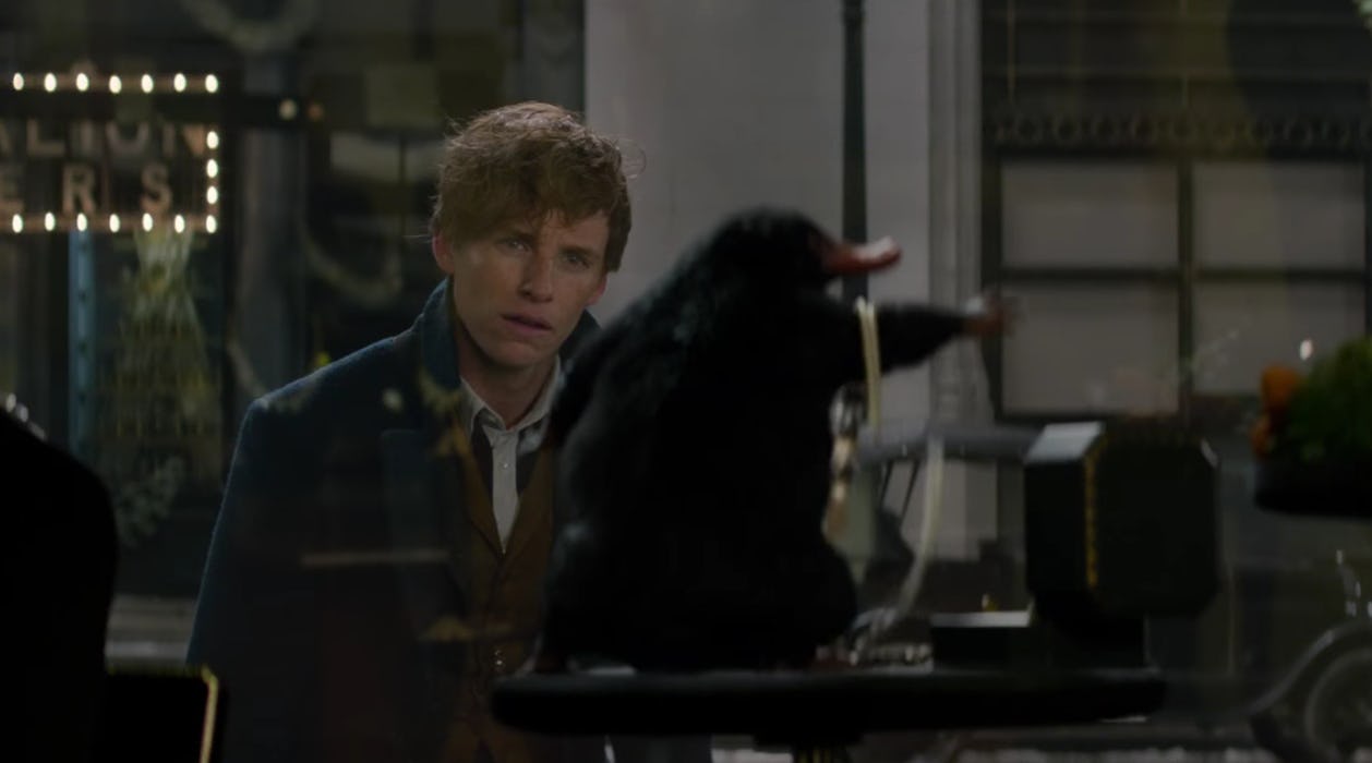 Who Is Newt's Brother In 'Fantastic Beasts & Where To Find Them'? He's ...
