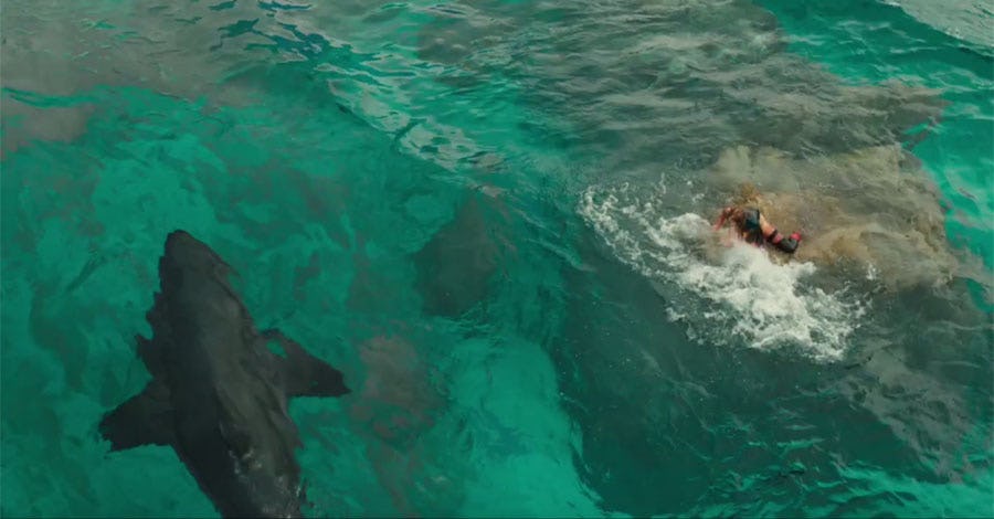 Sharks Stalk Their Prey In Real Life, Making 'The Shallows' That Much ...