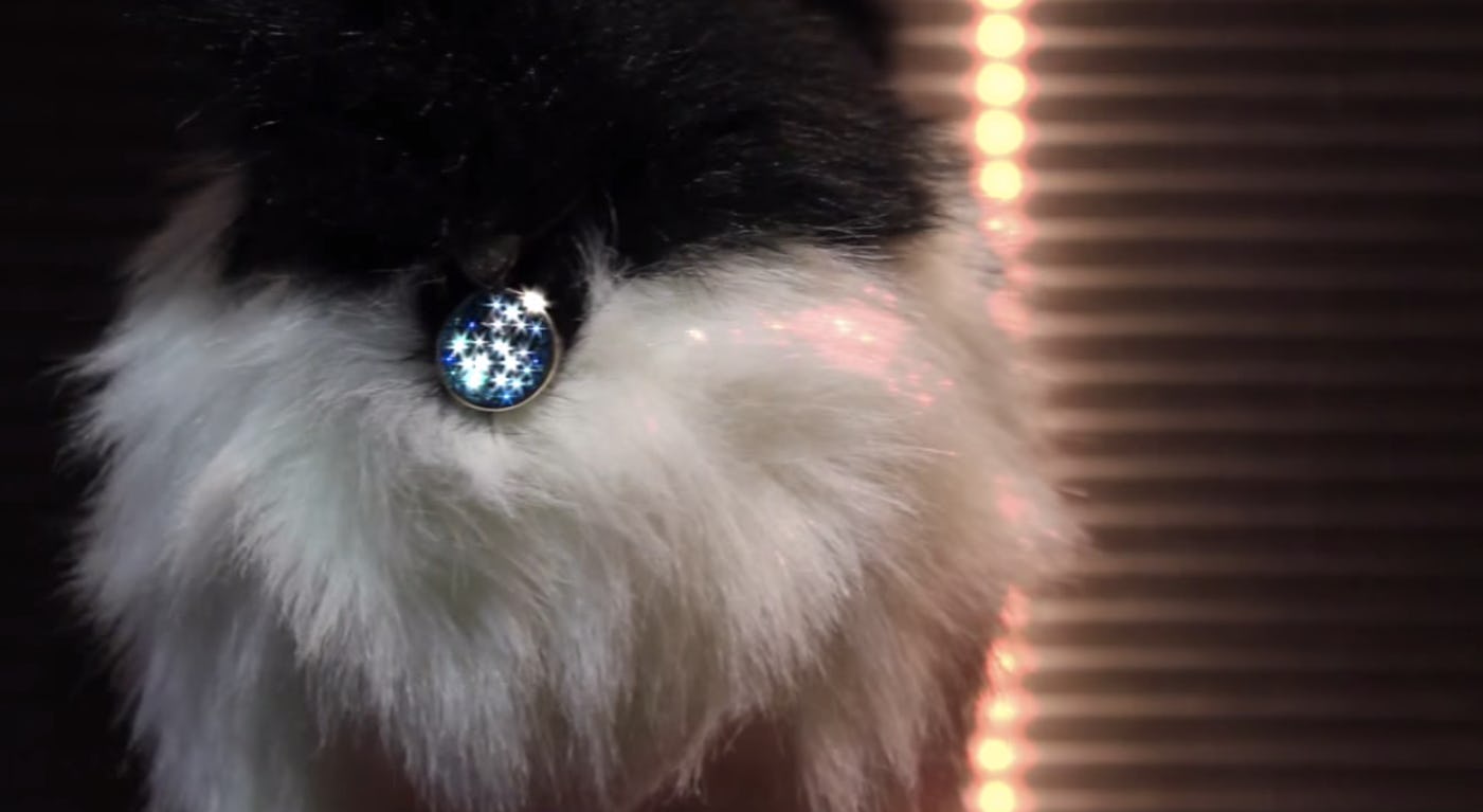 Glittery Covers For Cat Butts Exist, So Let The Glorious Twinkling Butt ...