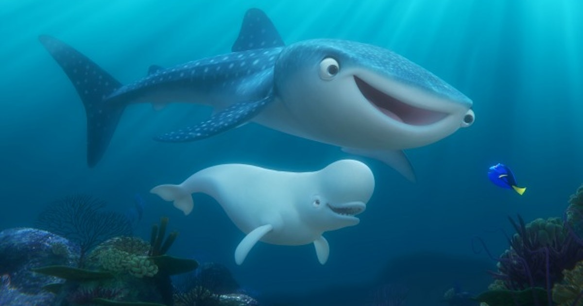 How To Speak Whale Like Dory And Be Ready To Chat Up Any Beluga