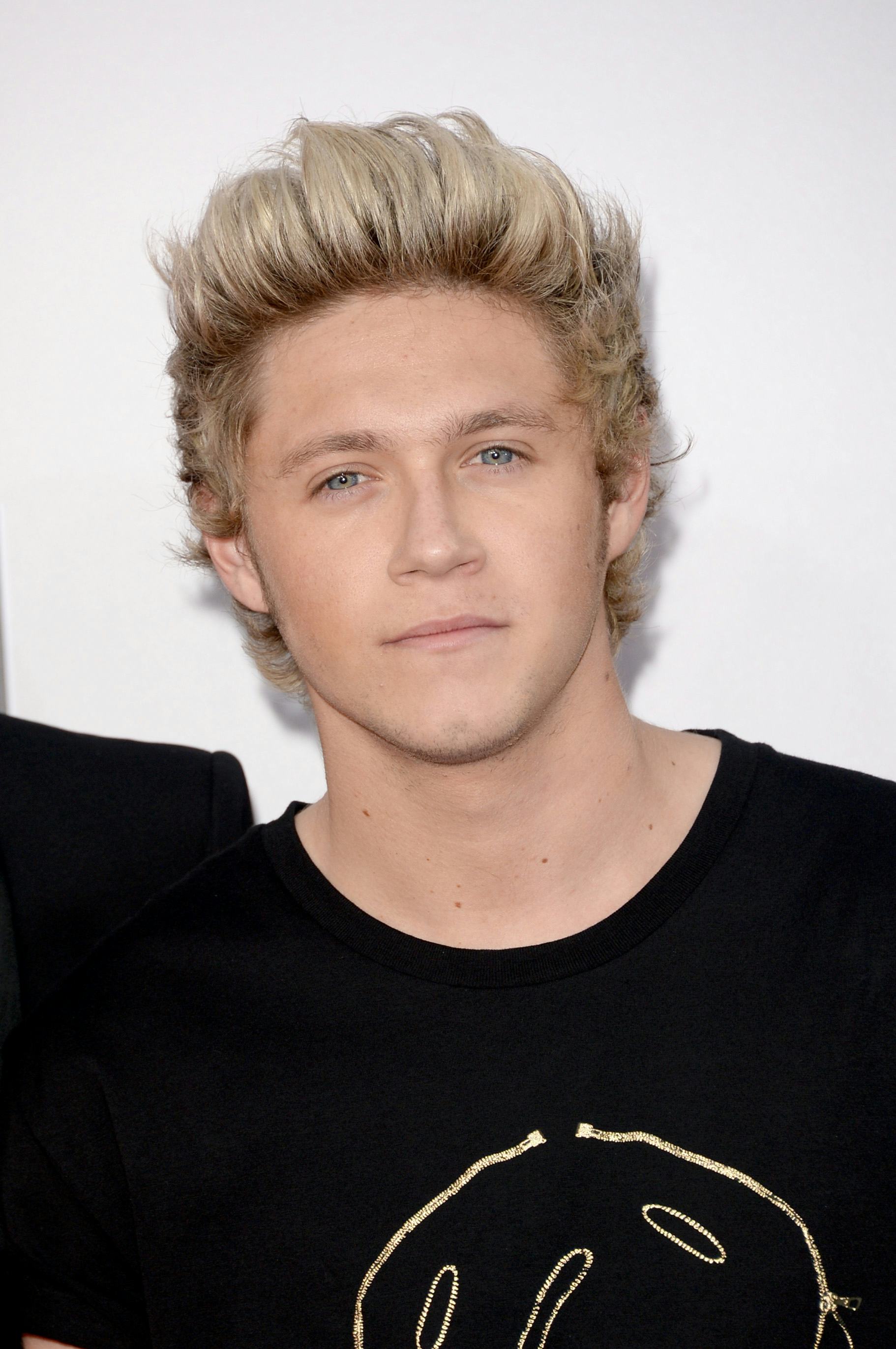 Does Niall Horan Have Siblings? His Brother Greg Looks Like a Long-Lost ...