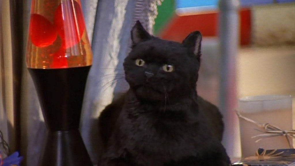 9 Reasons Salem From 'Sabrina, The Teenage Witch' Was The Greatest Cat ...