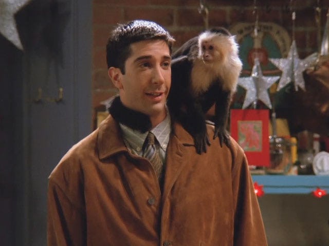 How Old Is Marcel The Monkey From 'Friends'? At This Point, He's Old ...