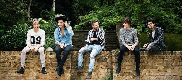One Direction's "Steal My Girl" Has a Problematic Title & Its Rumored ...