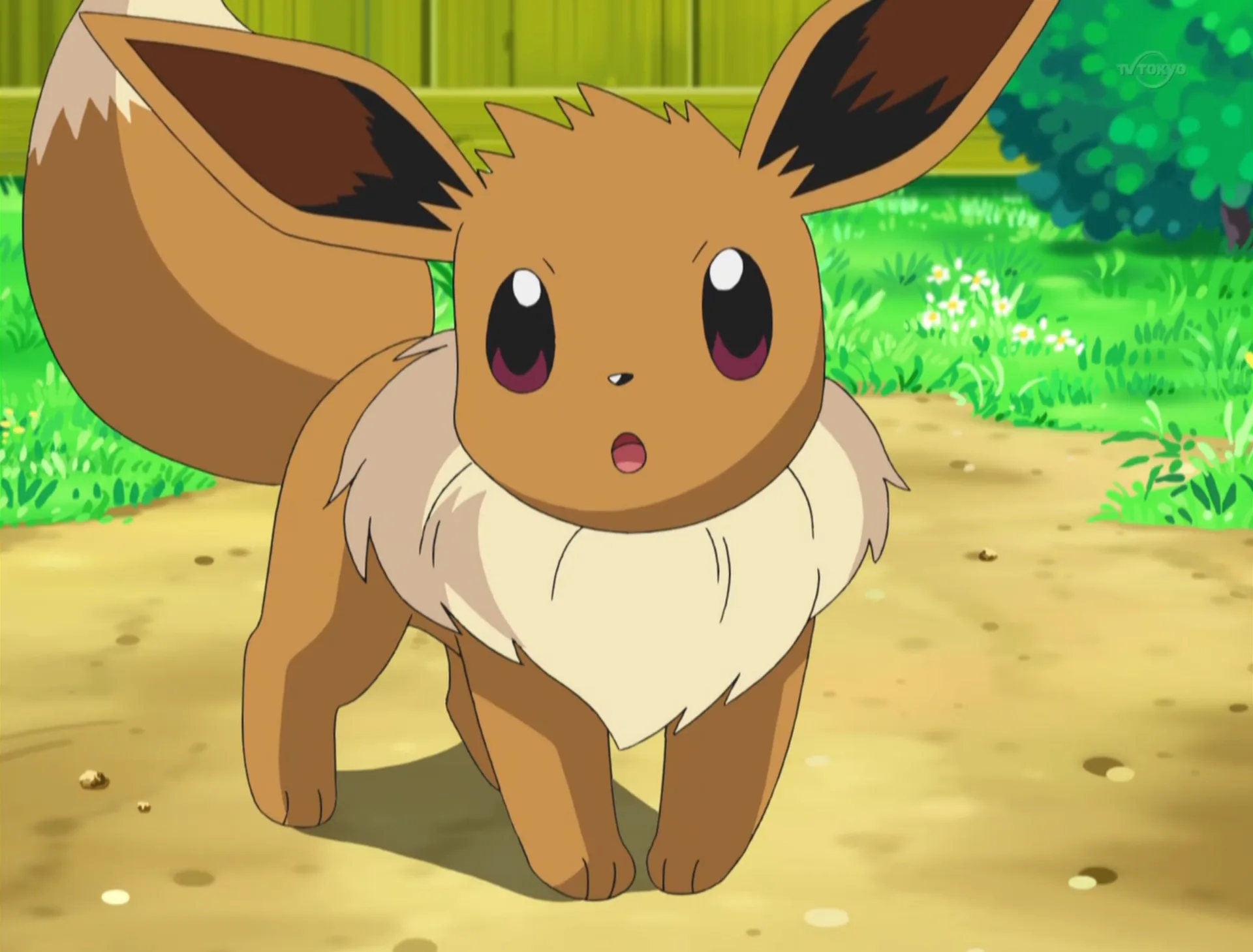 Eevee - Alchetron, The Free Social Encyclopedia