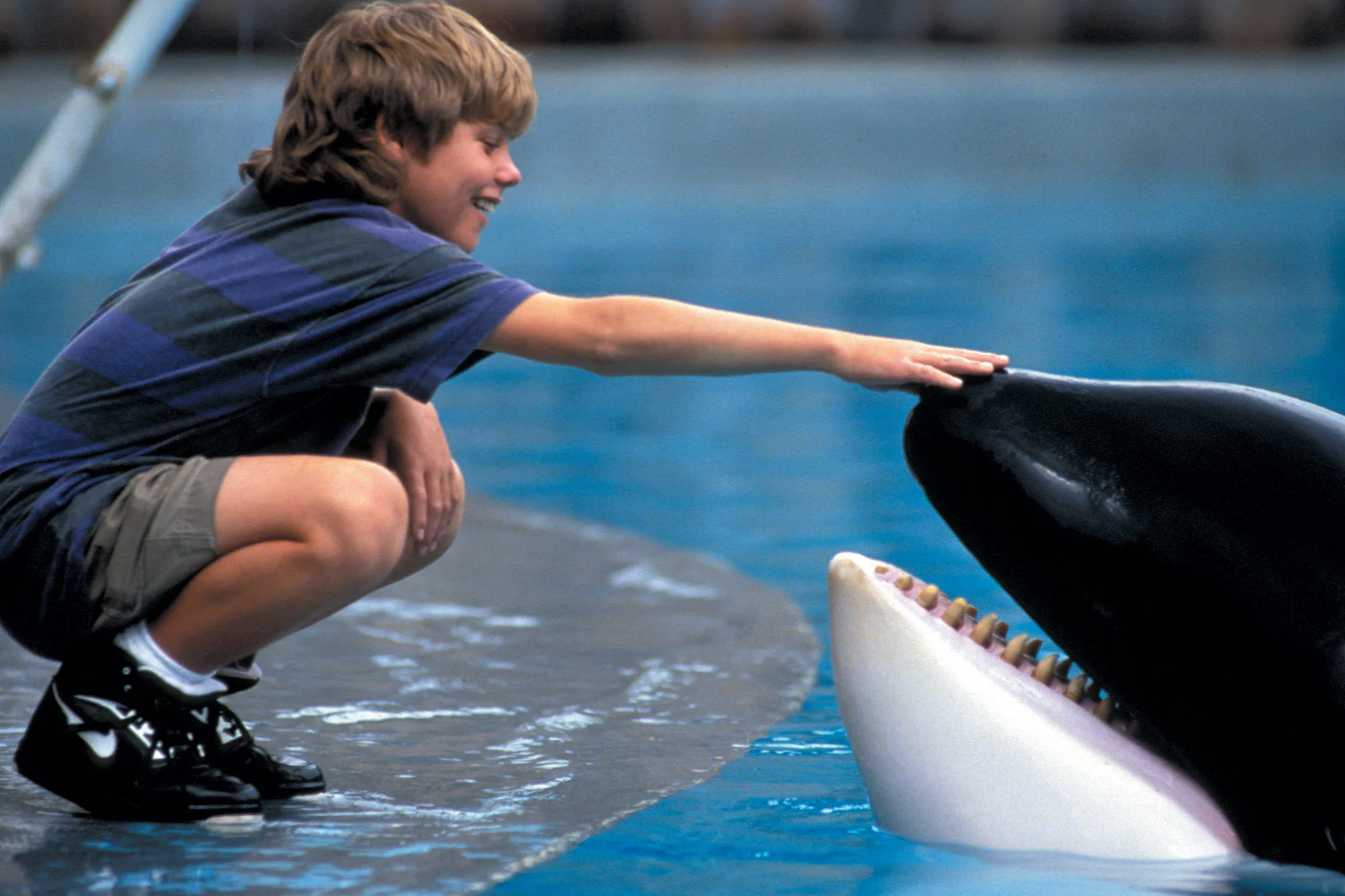 12 Best Animal Movies of All Time