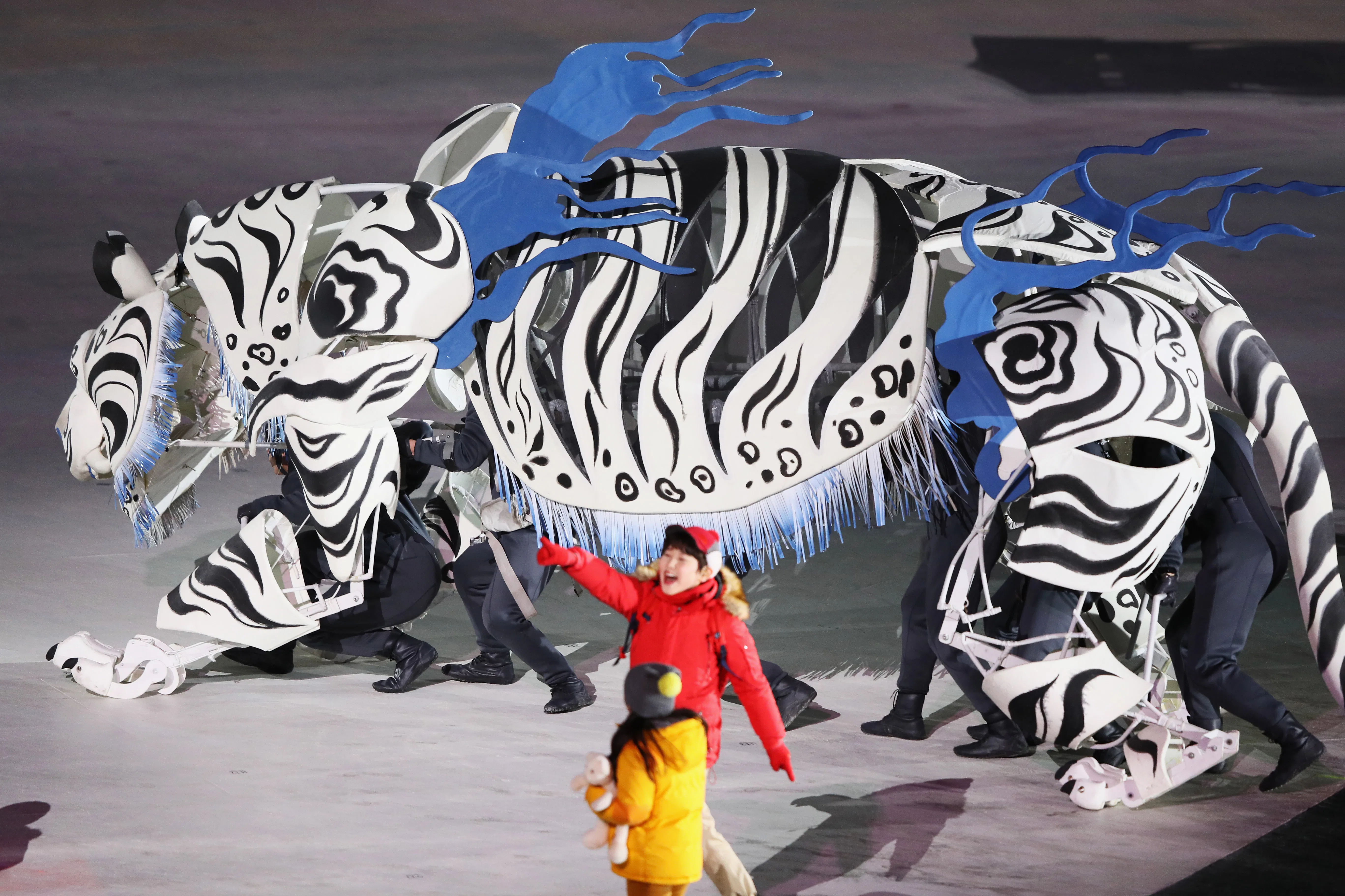 Why Is The Olympics Mascot A White Tiger? PyeongChang Is Celebrating ...