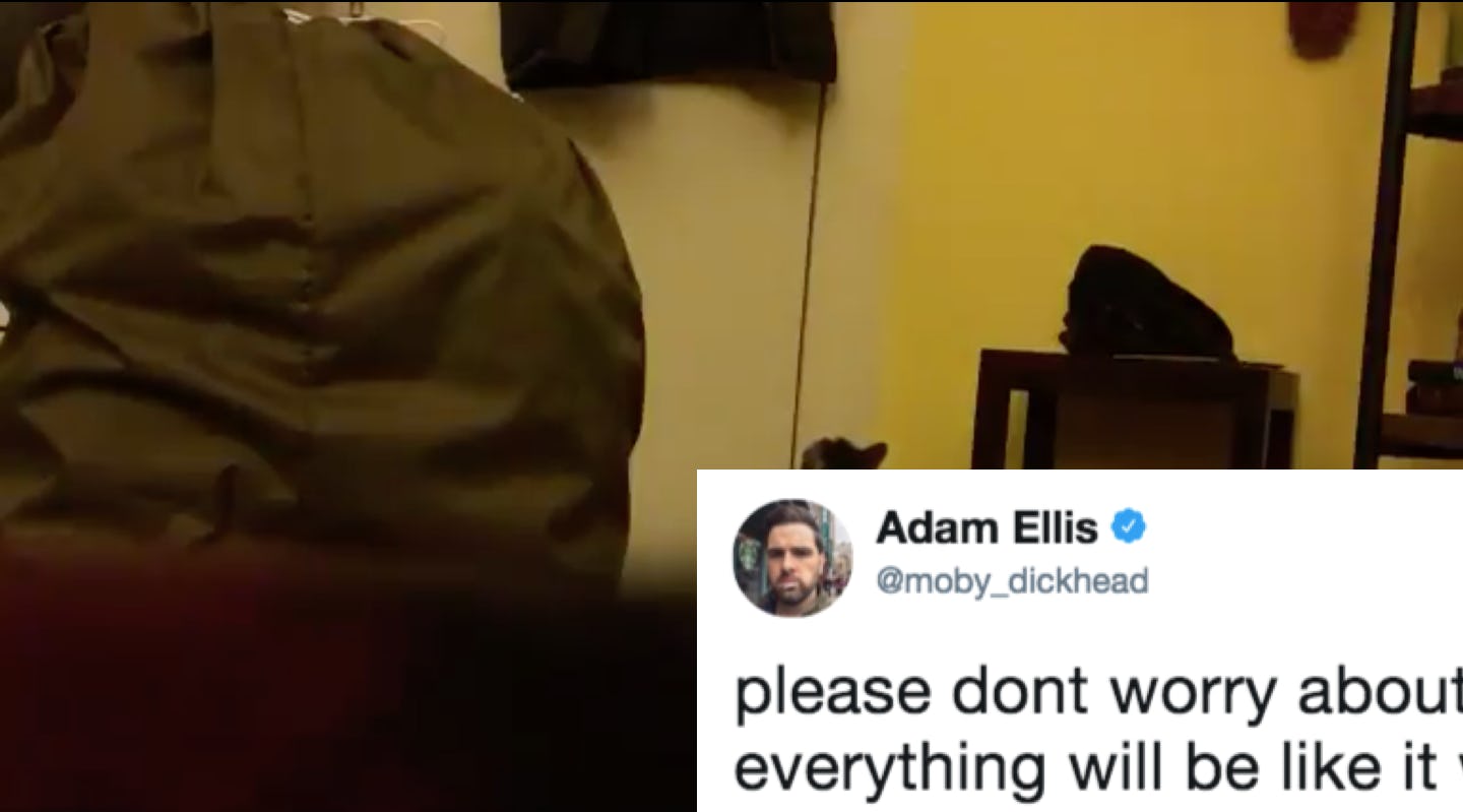 This “Dear David” Update From Adam Ellis May Prove That It’s Way Too ...