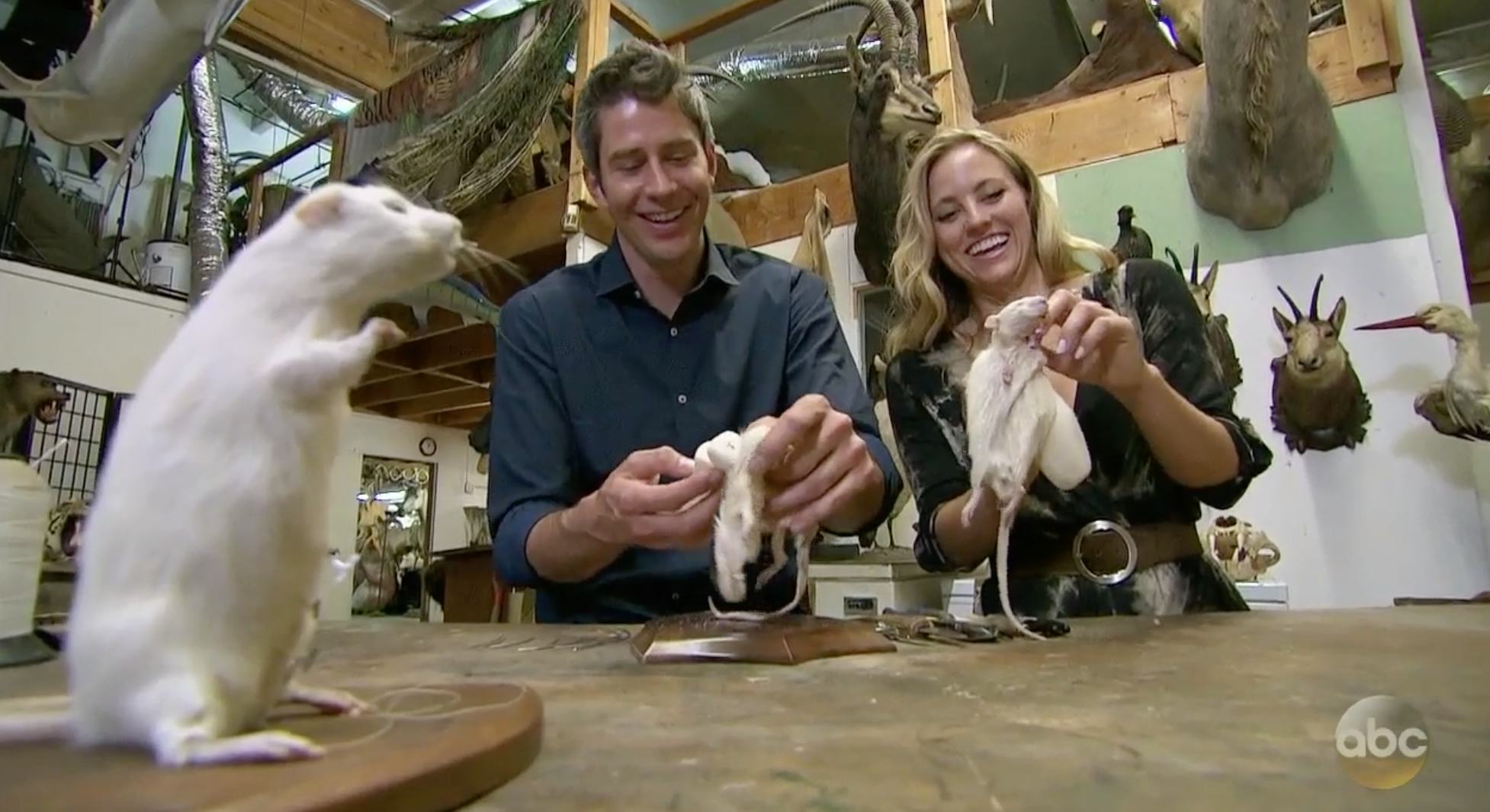 Ta-Tia For Now | Clint Jackson – Reality Bookie